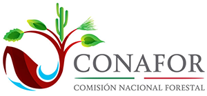 Comisión Nacional Forestal (Conafor) - Monarch Conservation ...