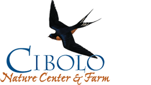 Cibolo Nature Center - Monarch Conservation ToolboxMonarch Conservation ...